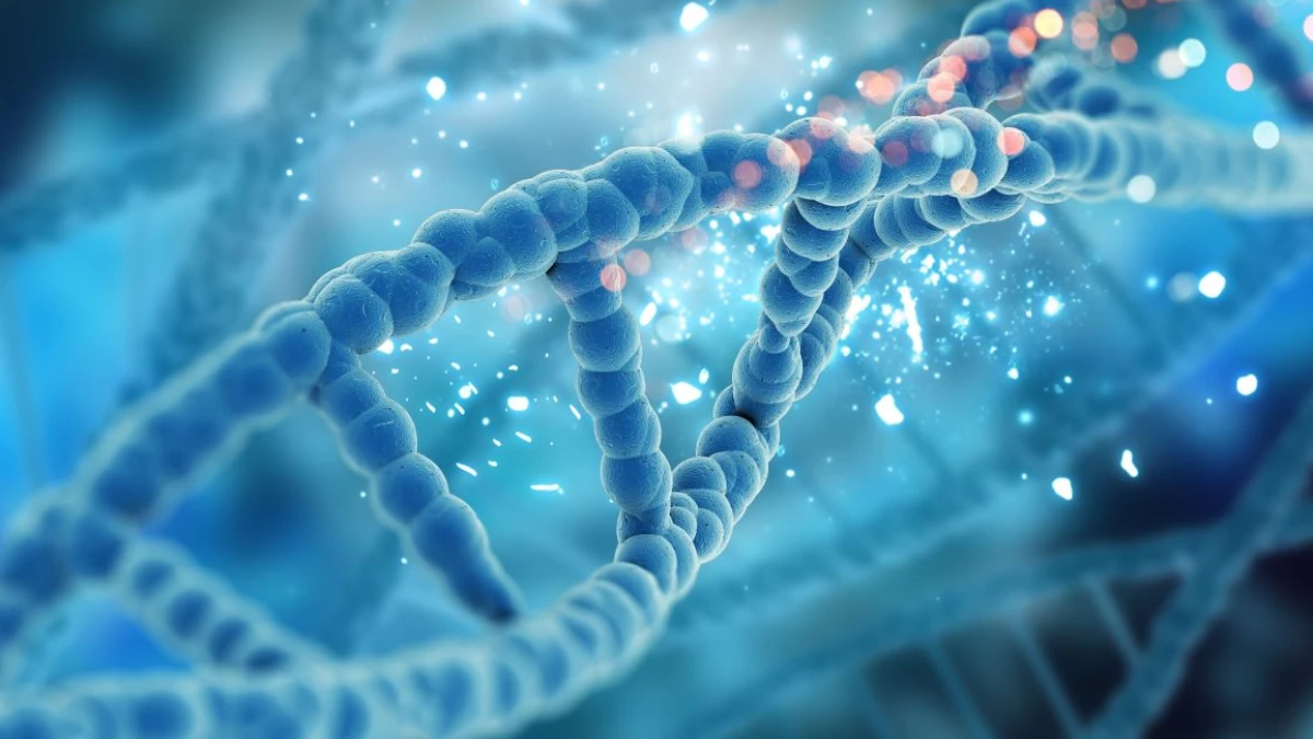 Peran DNA dan Gen dalam Menentukan Karakteristik Manusia dan ...