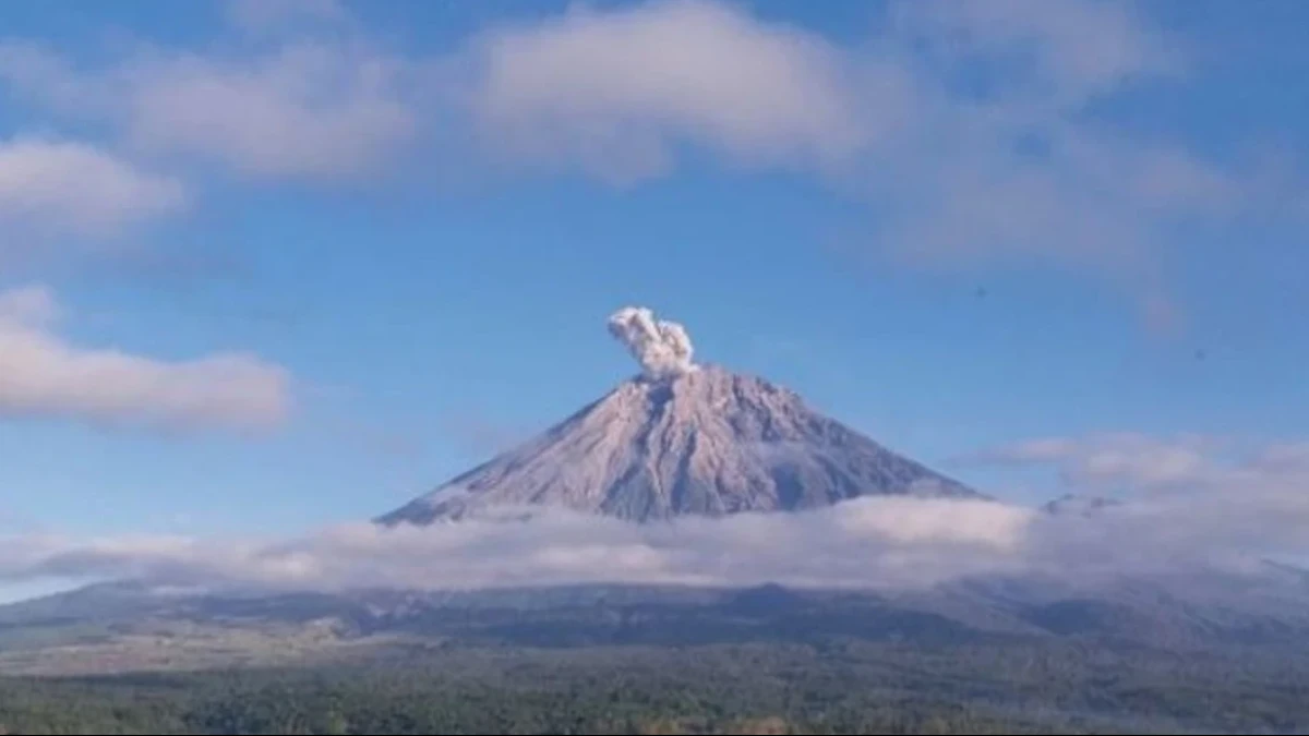 Hari Ini Gunung Semeru Erupsi, Semburkan Awan Setinggi 700 Meter