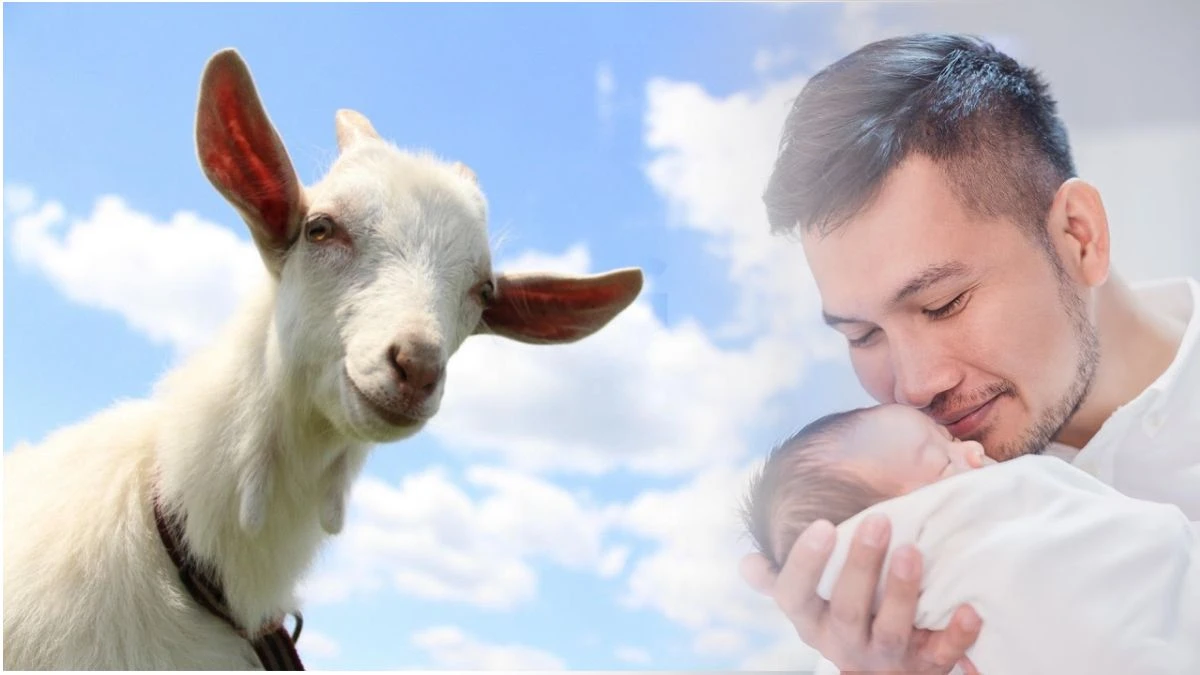 4 Hikmah Disyariatkannya Akikah bagi Anak dalam Islam