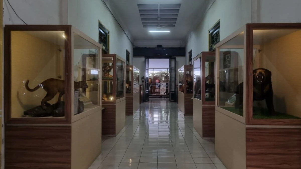 Museum Biologi UGM: Hewan dan Kerangka Kemiskinan